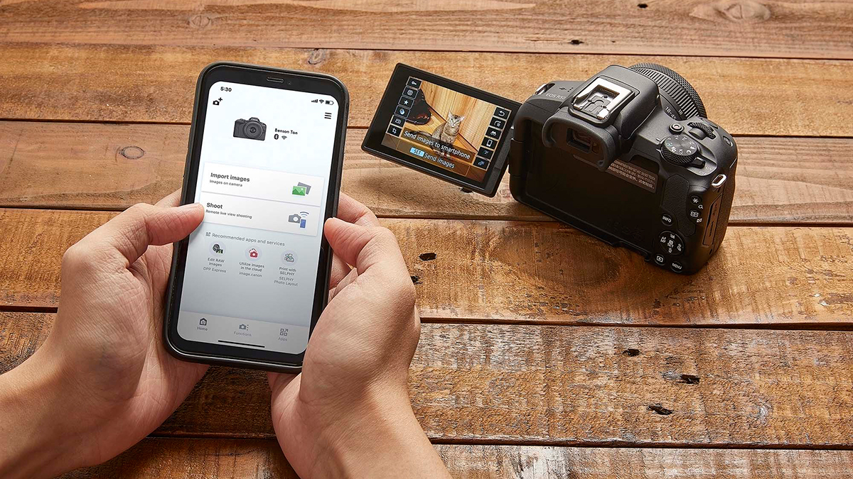 Canon EOS R50: Kamera Mirrorless Berkualitas Tinggi dengan Harga ...