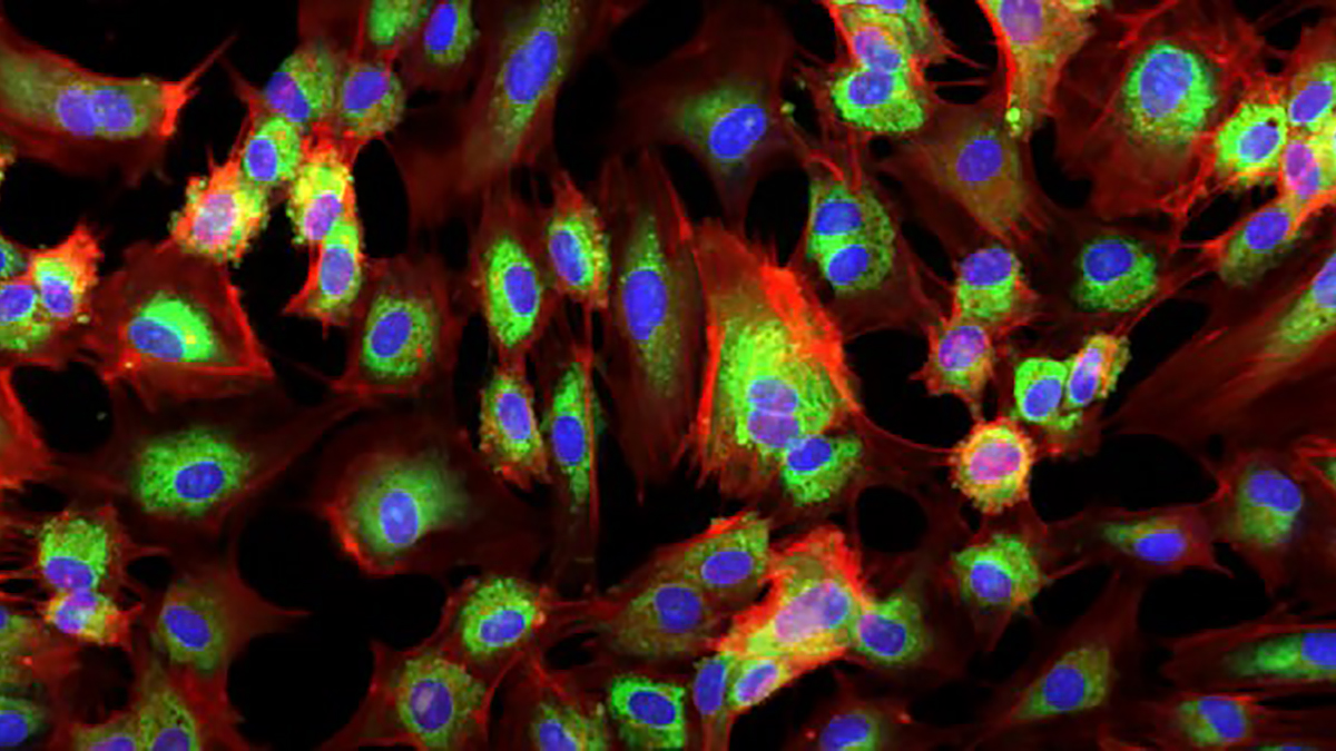 NVIDIA BioNeMo Mengubah Paradigma Penemuan Obat dengan AI Generatif ...